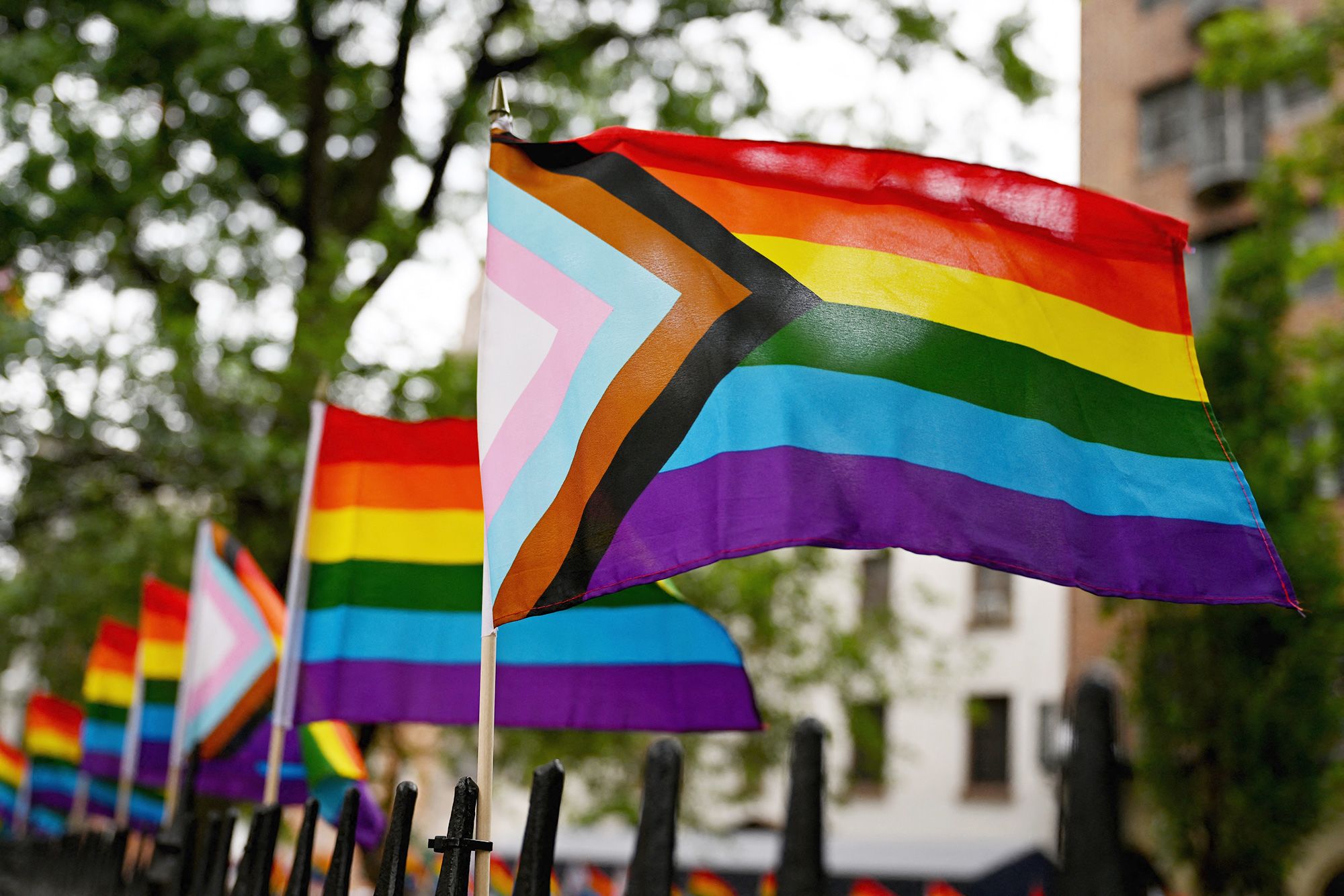 More Americans identify as LGBTQ than ever before, poll finds ...